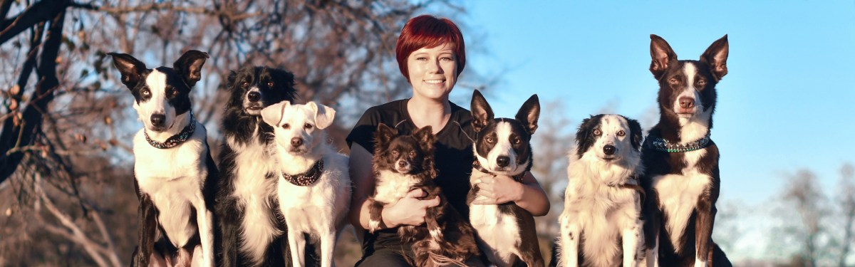 About Kirby McIlveen CCFT – SKY HIGH FLYING CANINES