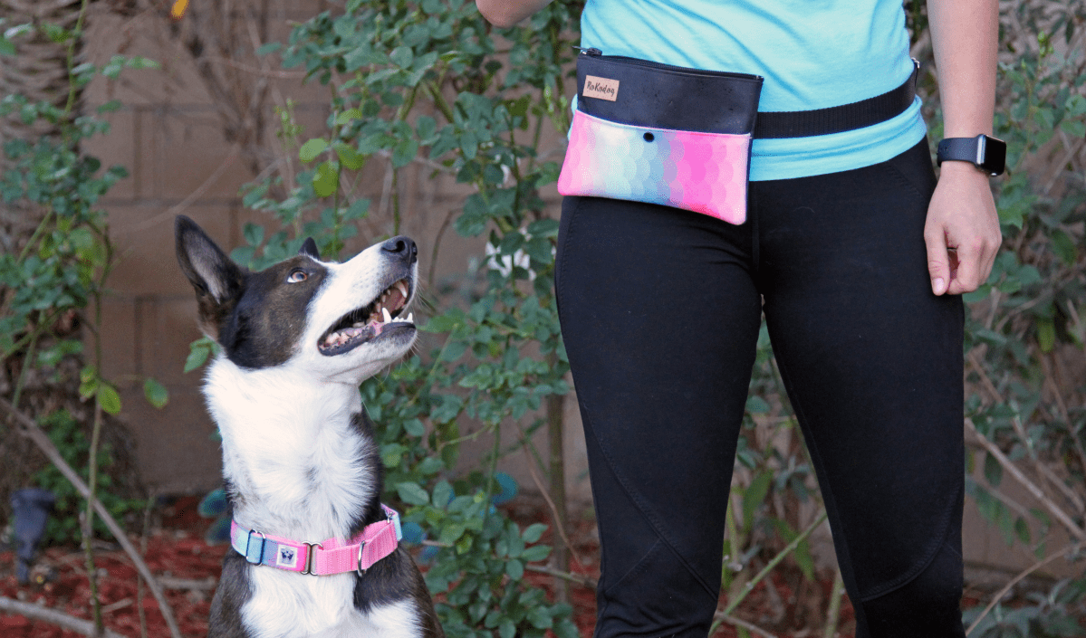 Product Review: RoKodog Look At That Fanny Pack/Treat Pouch – SKY HIGH ...