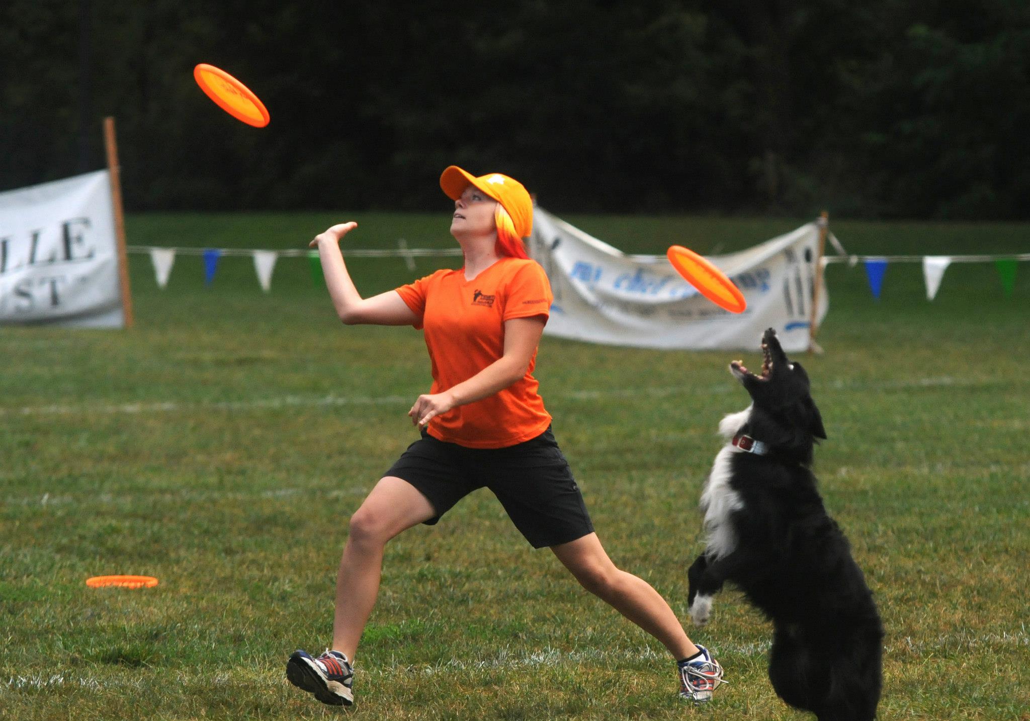 Disc Dog Training Plan: How Much Do I Practice? – SKY HIGH FLYING CANINES