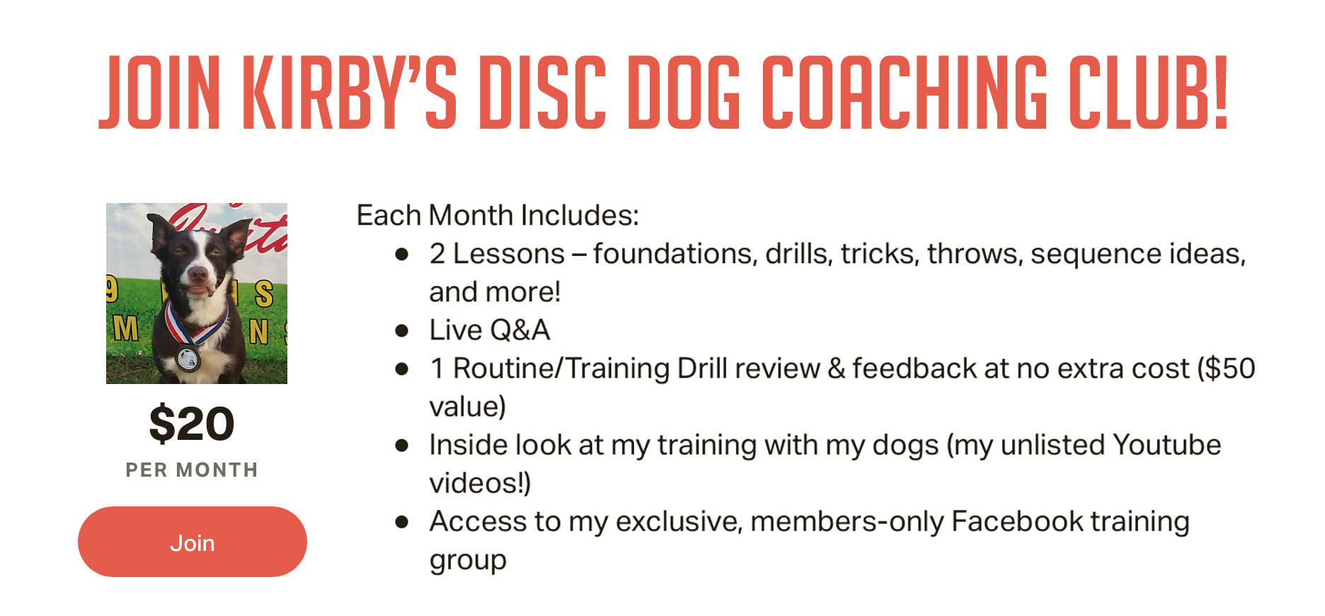 List of Disc Dog Clubs – SKY HIGH FLYING CANINES