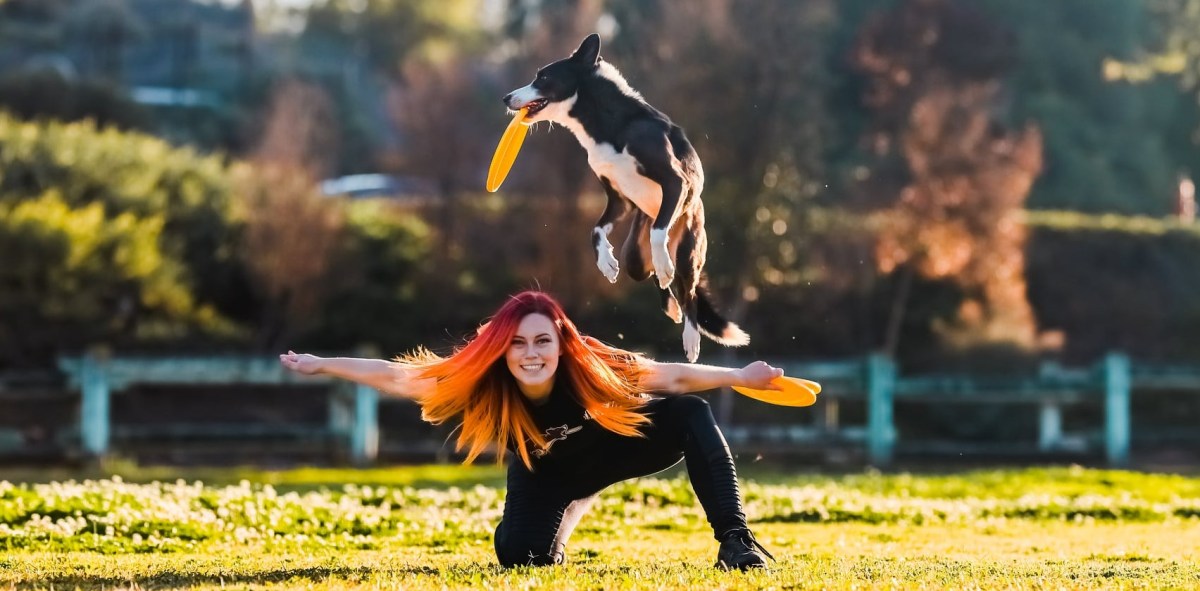 Disc Dog Shows for Halftime, Parties, & Events – SKY HIGH FLYING CANINES